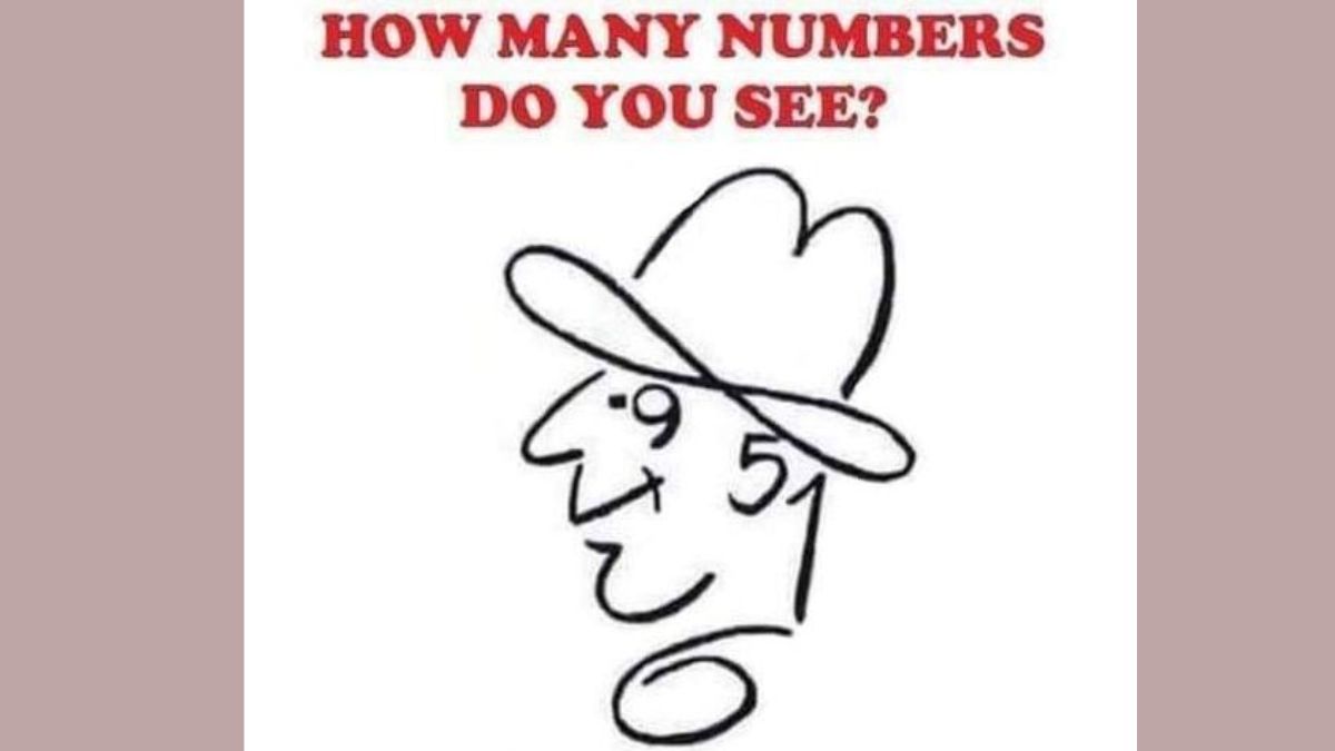 How Many Numbers Do You See? Face Optical Illusion IQ Test