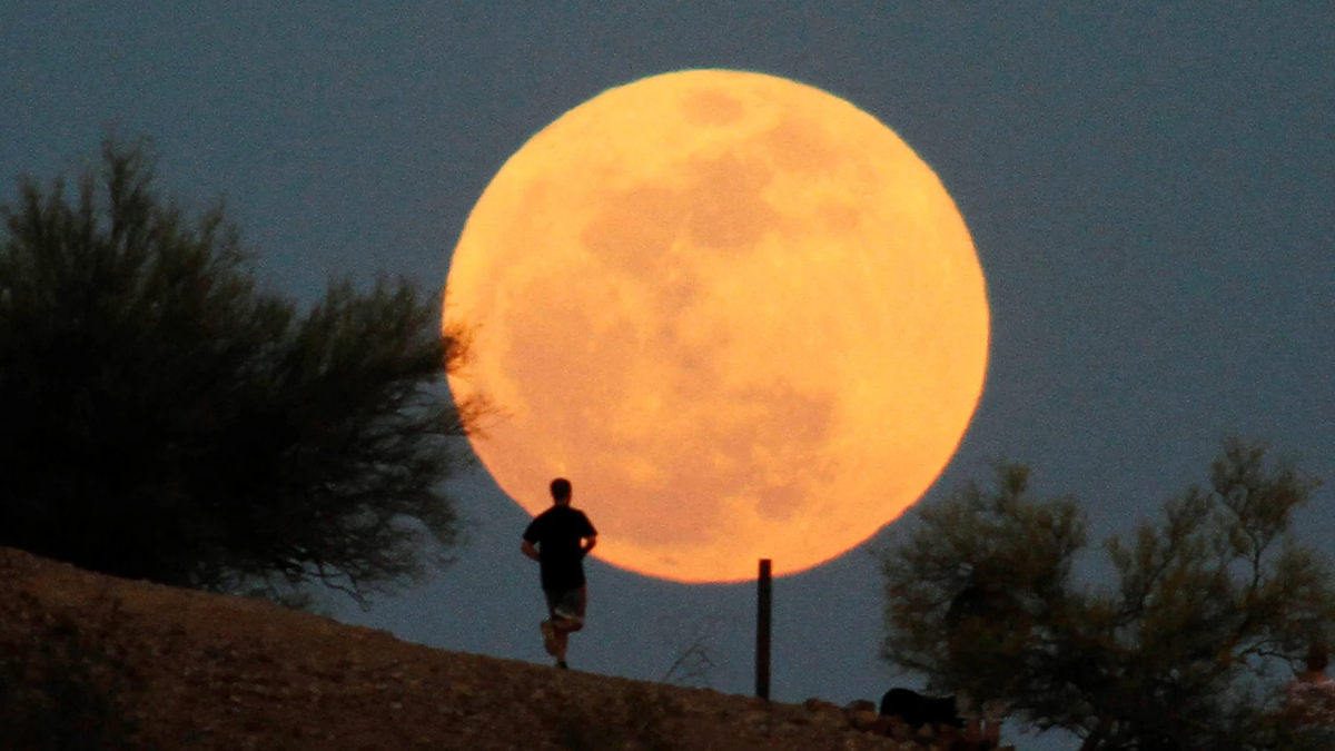 What Is a Supermoon? Science, Frequency, Effects, and How to Observe It