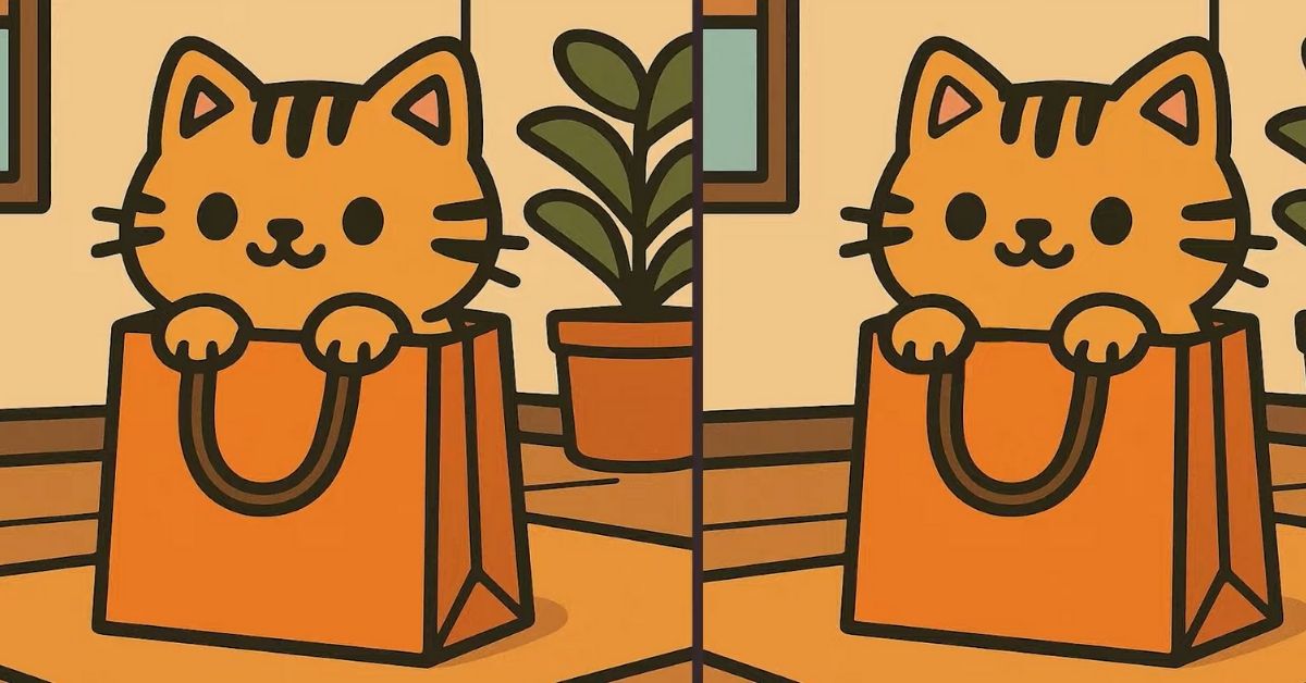 Spot 3 Differences in Cat Sitting Inside a Paper Bag- Can You Find Them ...