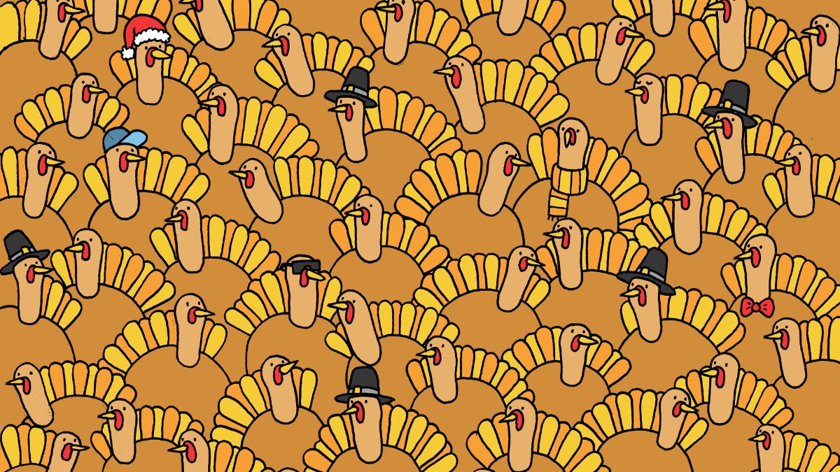 Only 1 In 100 Sharp-Eyed Can Spot The Pumpkin Among Turkeys In 32 Seconds!