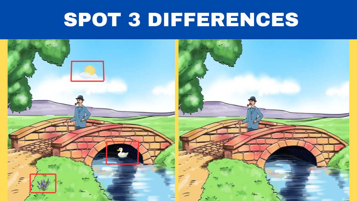 Spot 3 Differences in this Summer Landscape Picture in 12 Seconds!