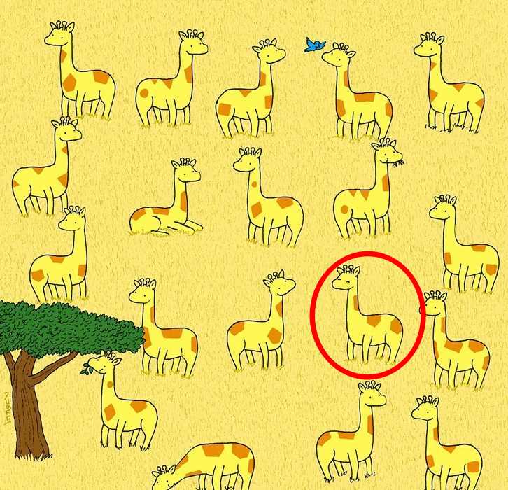 Visual Illusion: Only eagle eyes can find the different giraffe in 9 ...