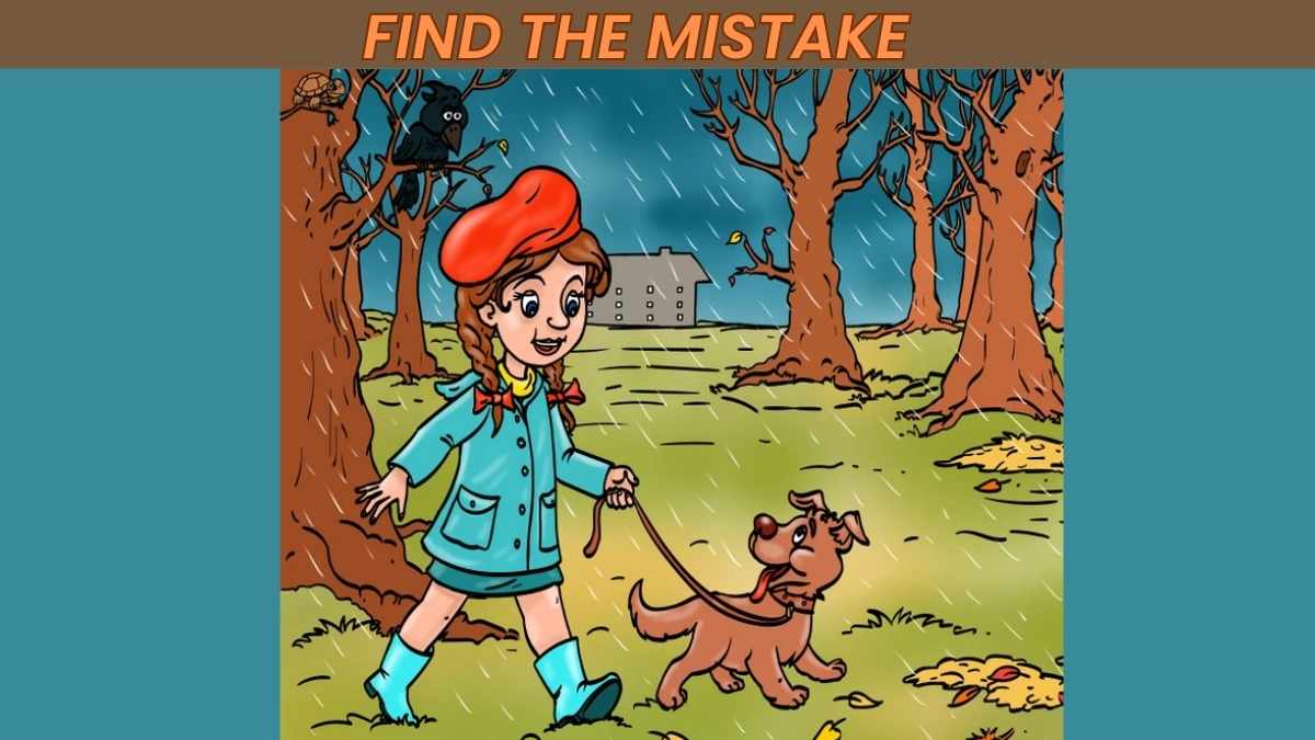 Only 1 Can Find The Mistake In This Brain Teaser In Just 6 Seconds