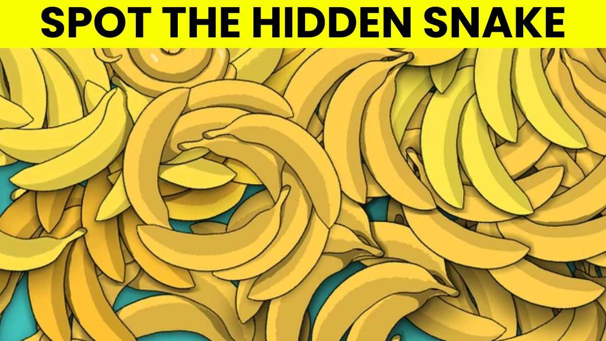 Optical Illusion IQ Test: 99% Fail To Spot The Snake Among the Bananas ...