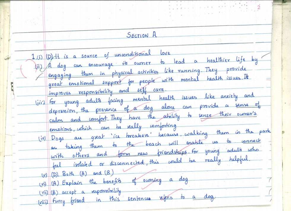 CBSE Topper Answer Sheet Class 12 English For 2025 Boards: FREE PDF ...