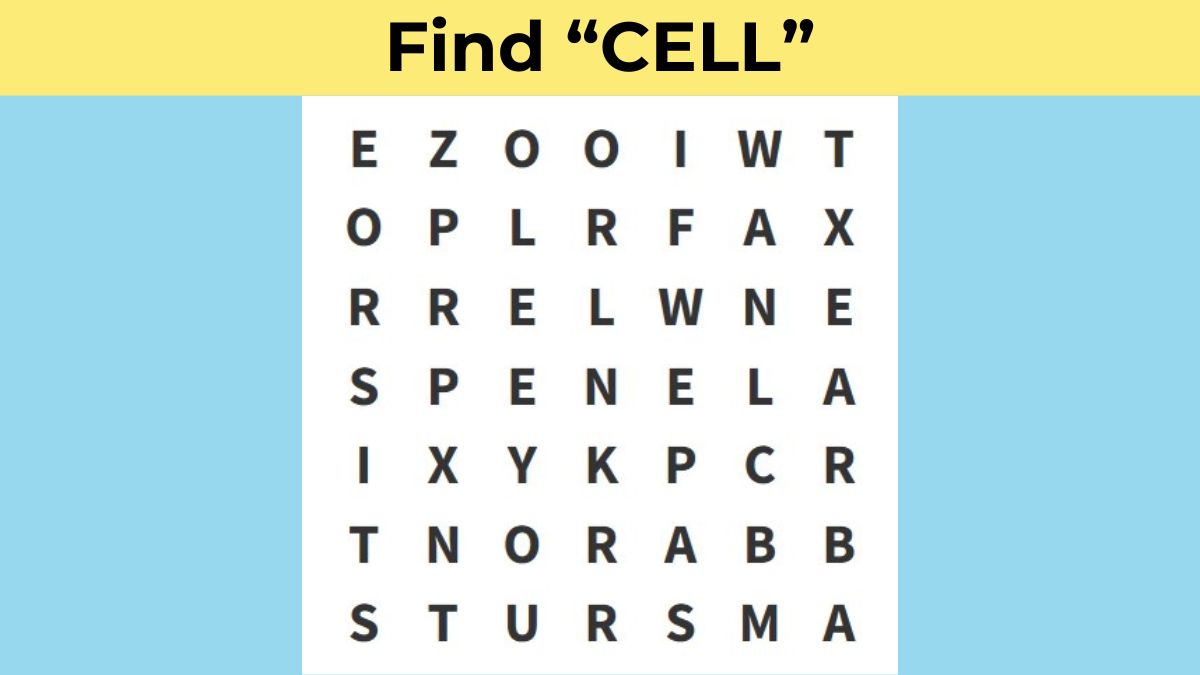 Word Search Puzzle: Can you find the word' CELL' in just 5 seconds? Word Search Puzzle: Can you find the word' CELL' in just 5 seconds?