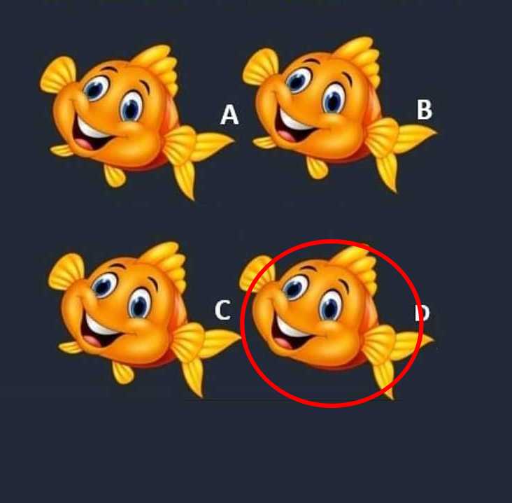 Optical Illusion: You have 20/20 vision if you can find the different ...