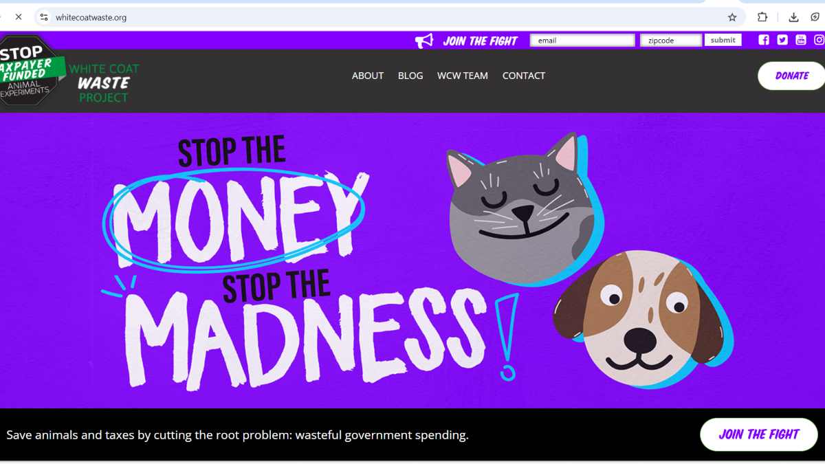 What is the White Coat Waste Project? All You Need to Know Here