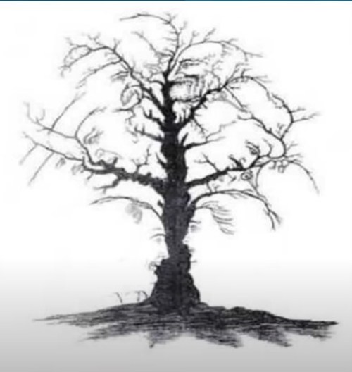 Optical Illusion: 99% Failed to Find Out the Hidden Face In The Tree ...