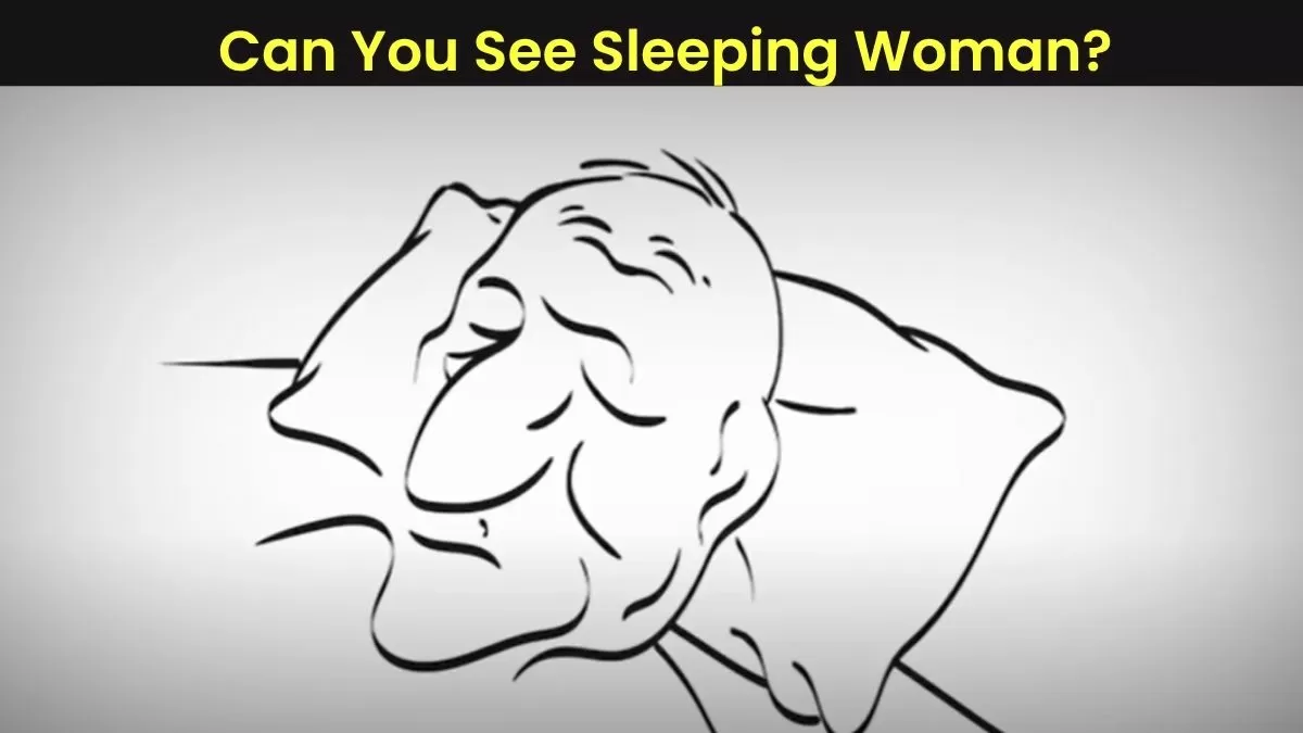99% Failed To Find Out The Sleeping Woman In The Old Man Optical Illusion!