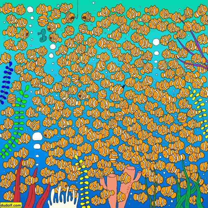 Picture Puzzle: Can You Spot The Hidden Goldfish Among Clownfish In 5 ...