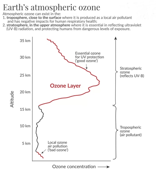 What is an Ozone Layer? Protection, Depletion, and Its Impact