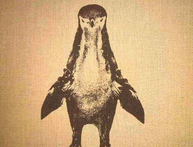 You have the most observant eyes if you can spot the penguin in 5 seconds!