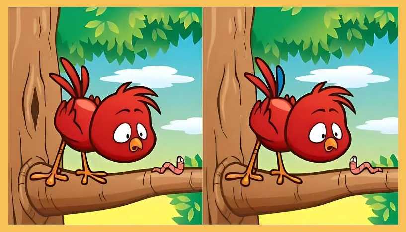Spot 5 differences between the bird pictures in 21 seconds!