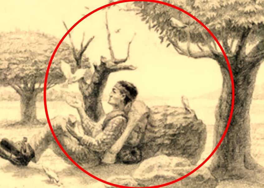 You have Cyclops vision if you can find the hidden horse in 7 seconds!