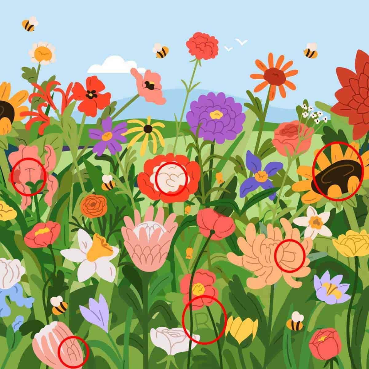 You have the eyes of a sniper if you can find the word nectar hidden ...