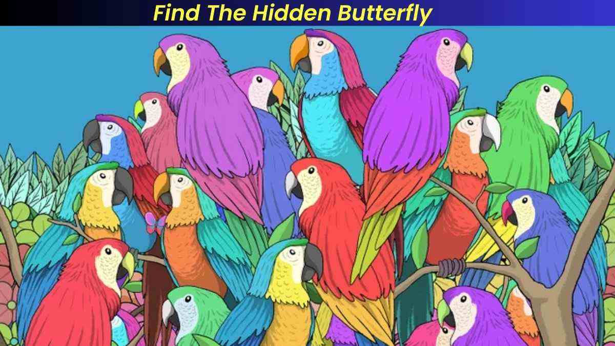 Optical Illusion: You Have Sharp Vision If You Can Spot The Hidden ...