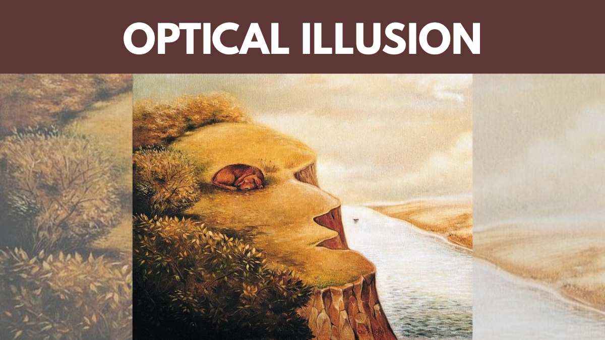 Optical Illusion: What Does the Object You See First Represent?