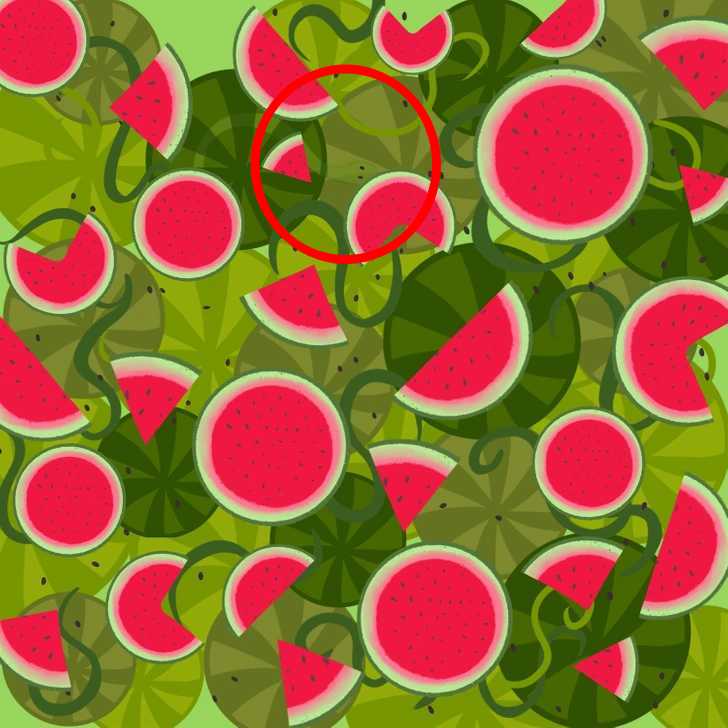 You have 20/20 vision if you can spot the hidden snake in 7 seconds!