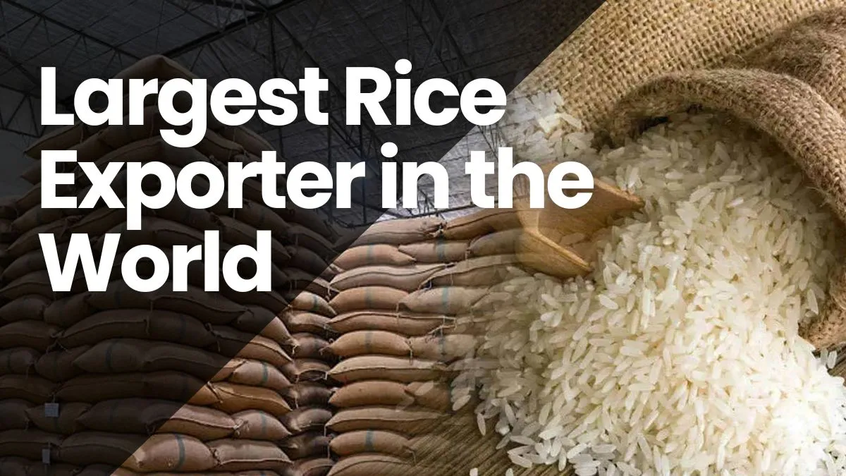Which Country Is World's Largest Rice Exporter?