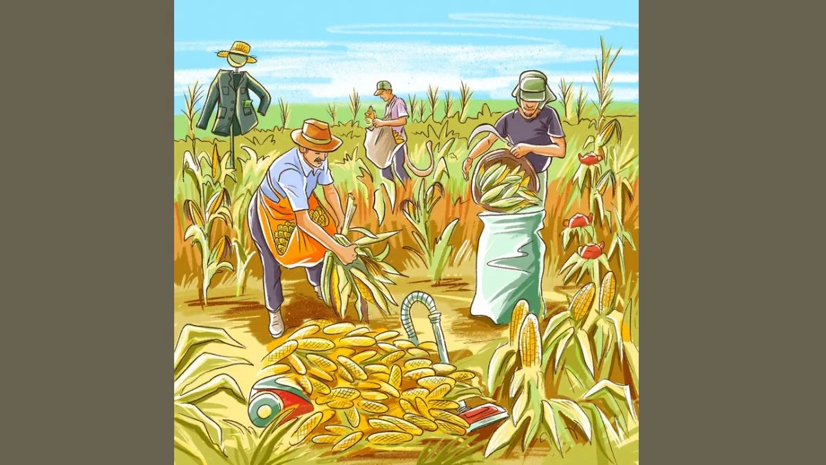 Can You Identify all the Errors in this Paddy Field Within 13 Seconds?