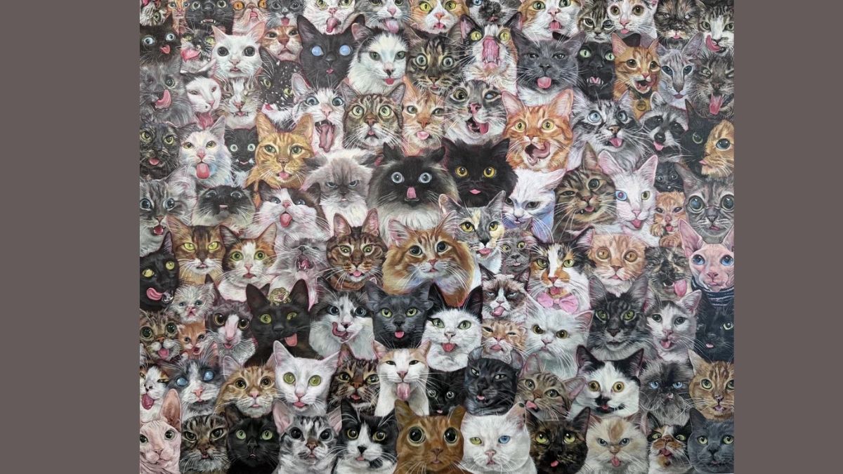 Visual Illusion Test: Within 13 Seconds Only Hawk Vision Can Find the ...