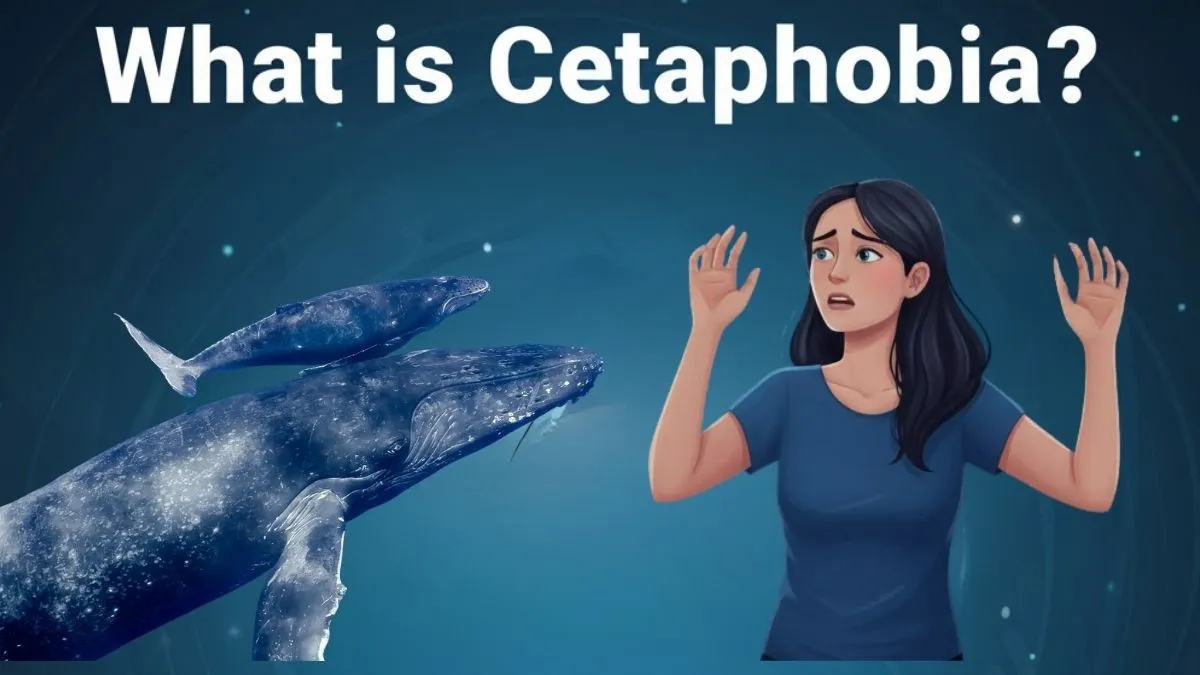 Cetaphobia: Understanding the Fear of Whales & Sea Creatures
