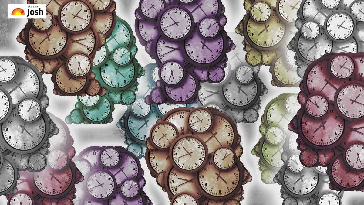 Which Academic Discipline is Known as the Mother of All Social Science?