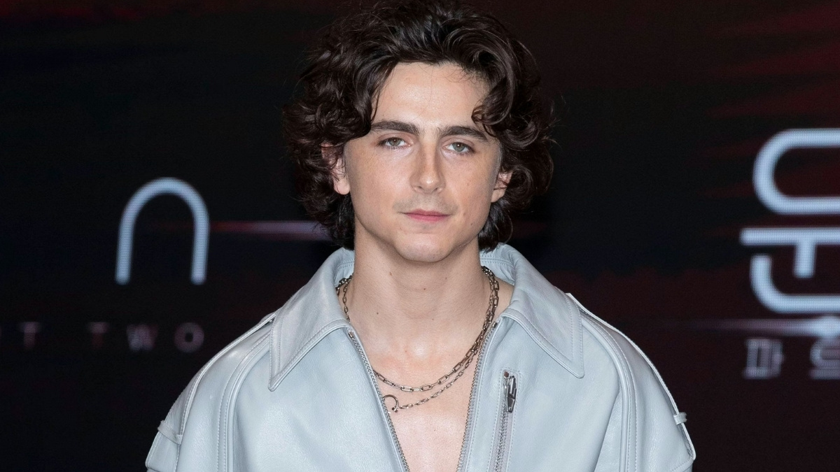 Timothée Chalamet Biography: Early Life, Net Worth, Career & Awards