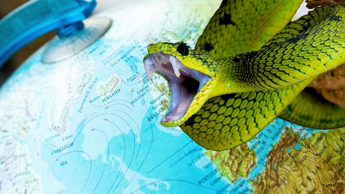 List of Countries Without Snakes