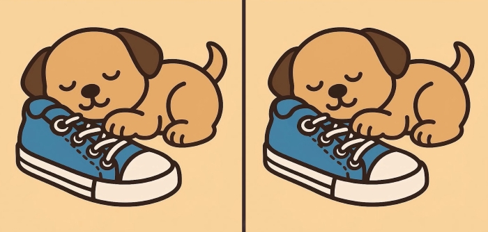 Spot 3 Differences in Puppy Sleeping on A Shoe- Can You Find Them in 51 ...