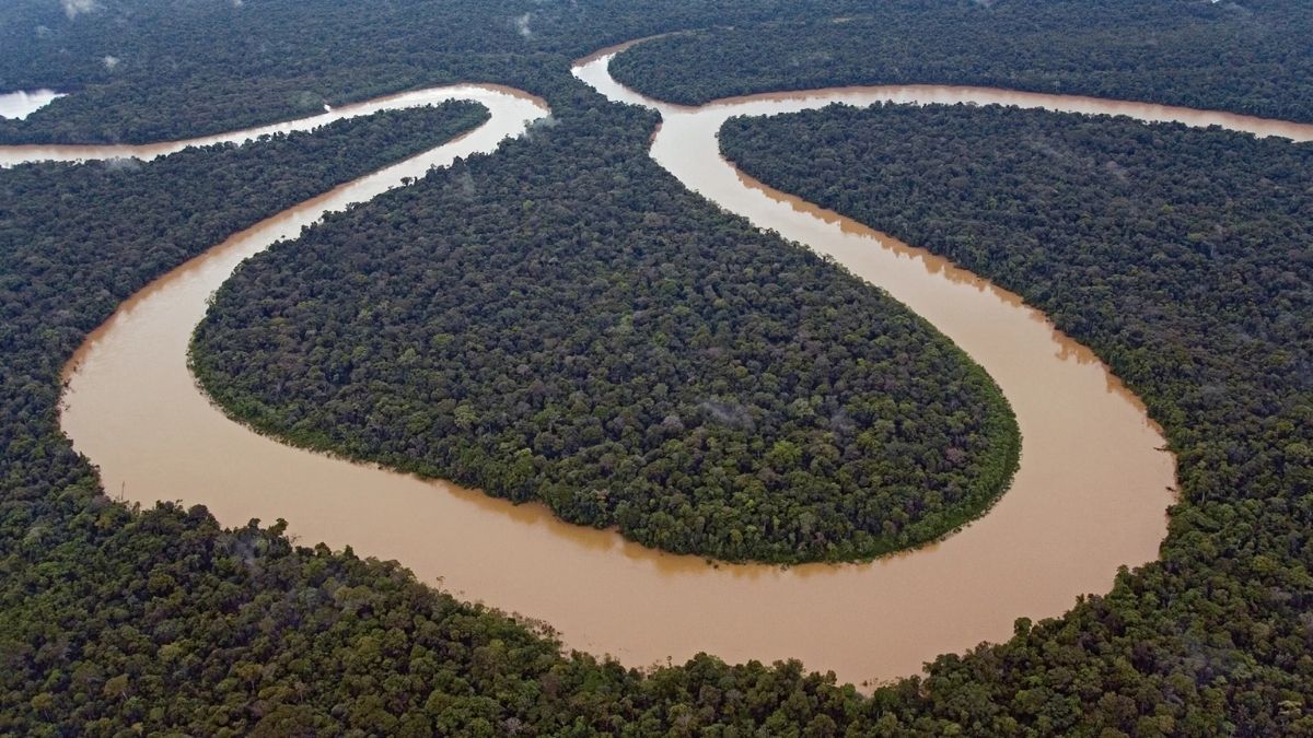 What is the Amazon Basin? Check Geography, Map & History Here!