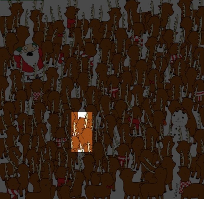 Only A Sharp-Eyed Individual With IQ Above 200 Can Spot The Bear In 40 ...