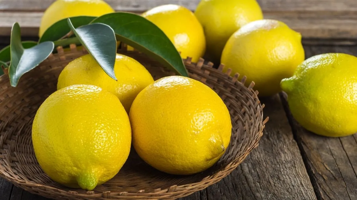 What is the Scientific Name of Lemon?