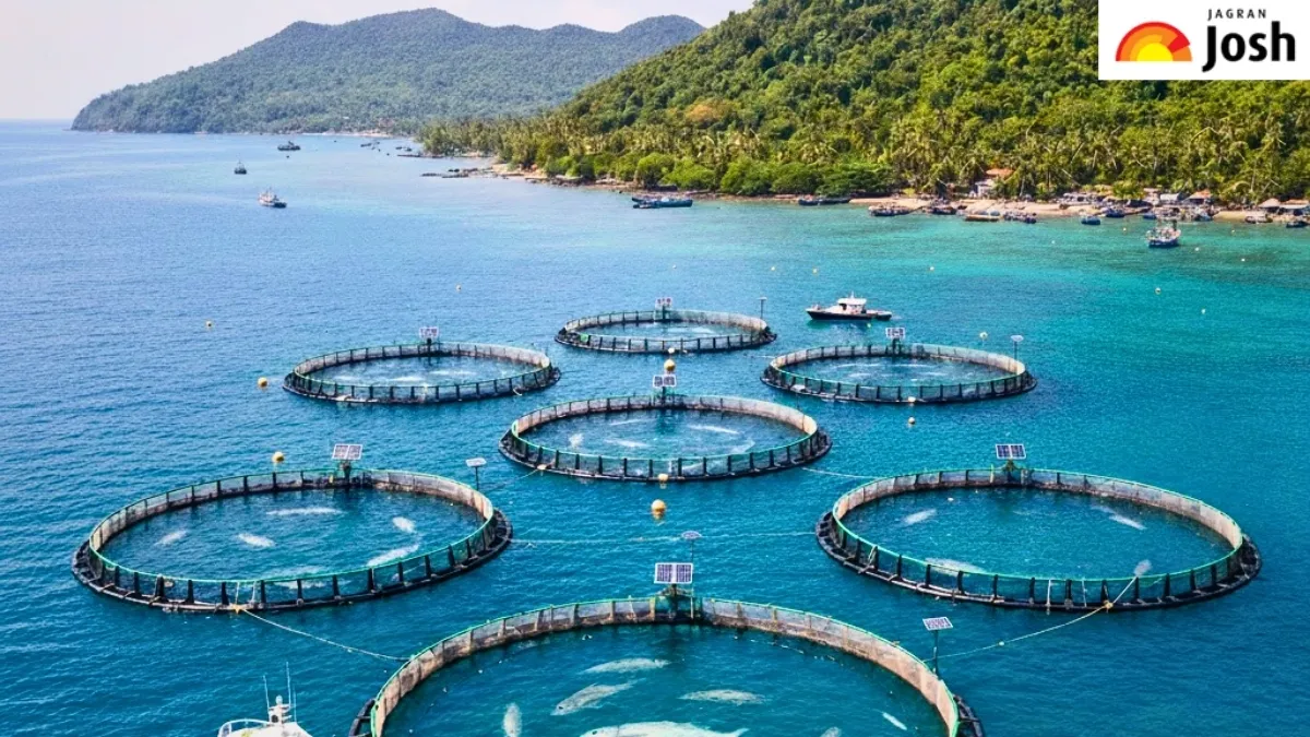 India’s First Open-Sea Marine Fish Farming Project: Locations ...