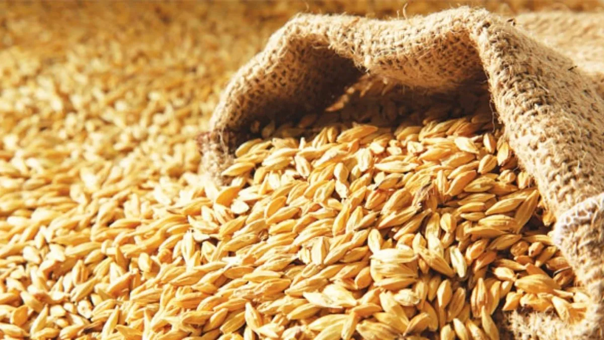 List of U.S. States with Largest Barley Production, Check Yield Statistics!
