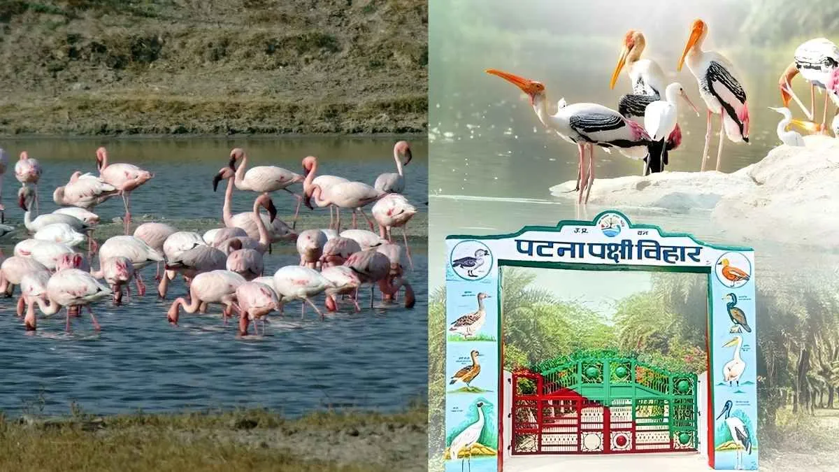 Newly Added Ramsar Sites in India 2026: Check Their Location & Facts