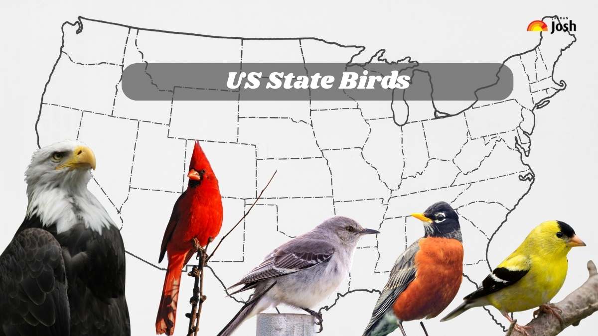 What is the U.S. Census Bureau?