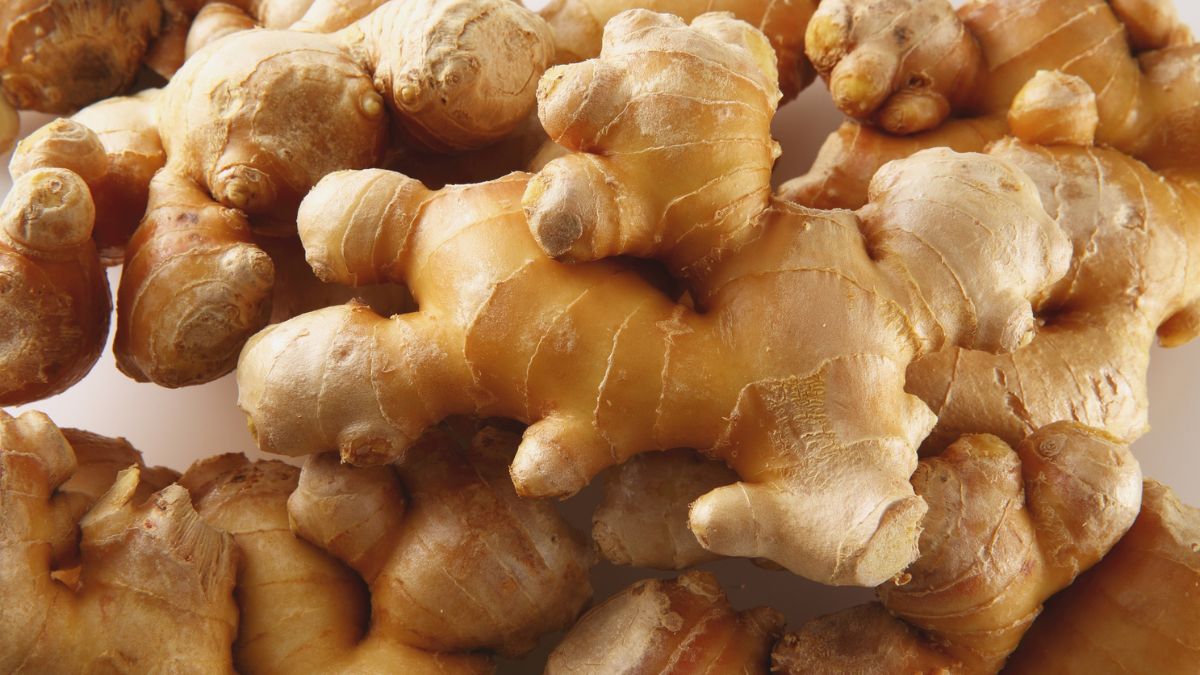 Which State Is the Largest Producer of Ginger in India?