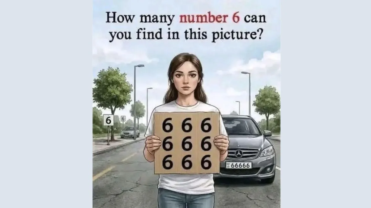 How Many Number 6 Can You find in this Picture Puzzle?