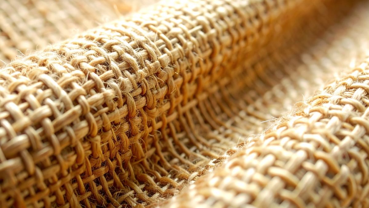 Which City Is Known as the Jute Capital of the World?