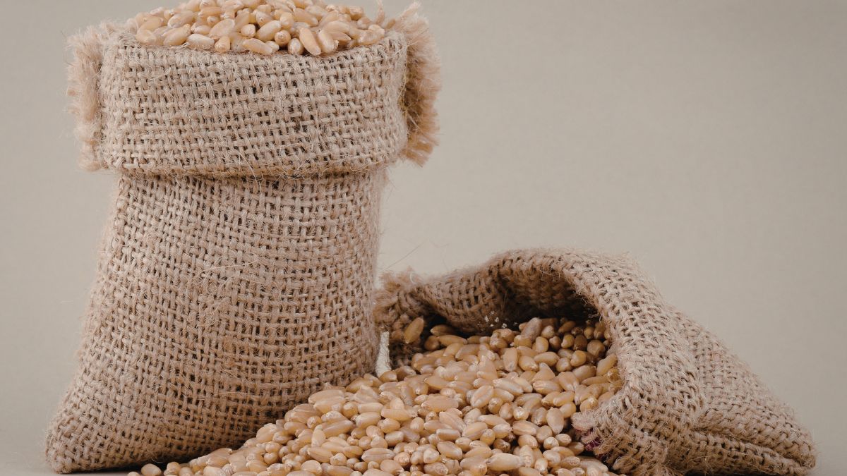 Which City Is Known as the Jute Capital of the World?