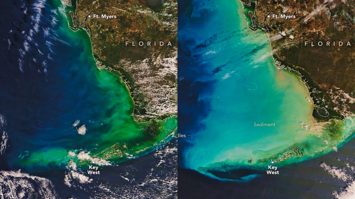 NASA Spots Florida Waters Turning Eerie New Colors After Storms