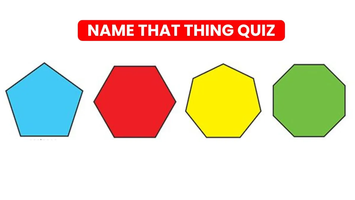 Test Your Geometry Knowledge! Can You Identify These Polygons In Under ...
