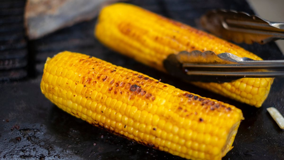 Which Country is the Largest Producer of Corn in the World?