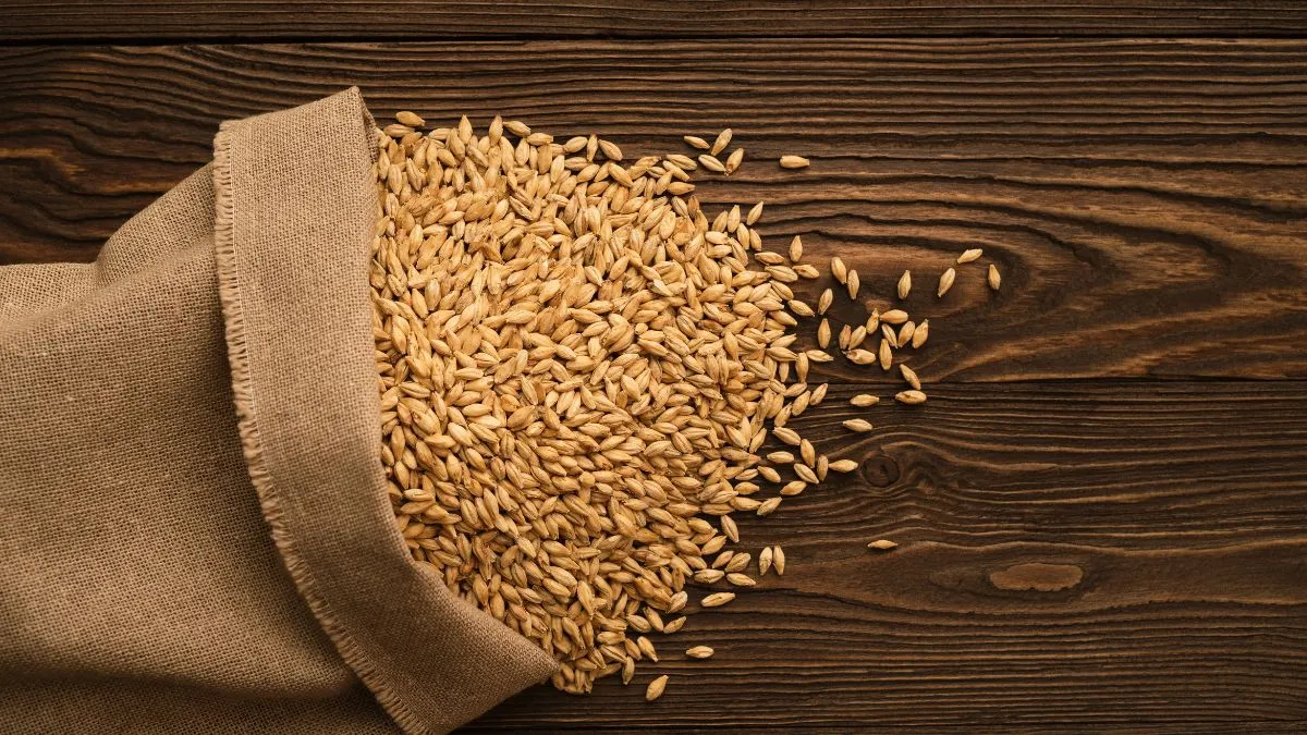 Which Country Is the Largest Producer of Barley in the World?