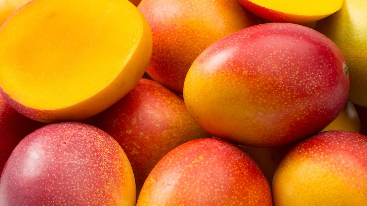 Types of Mango in India