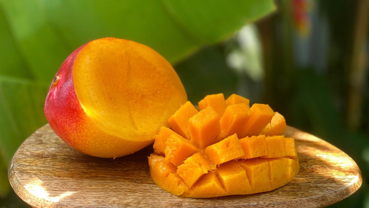 Which Country Is the Largest Producer of Tropical Fruits in the World?