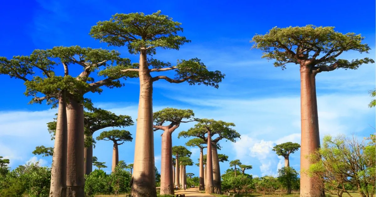 Which Place is Known as the Red Island?
