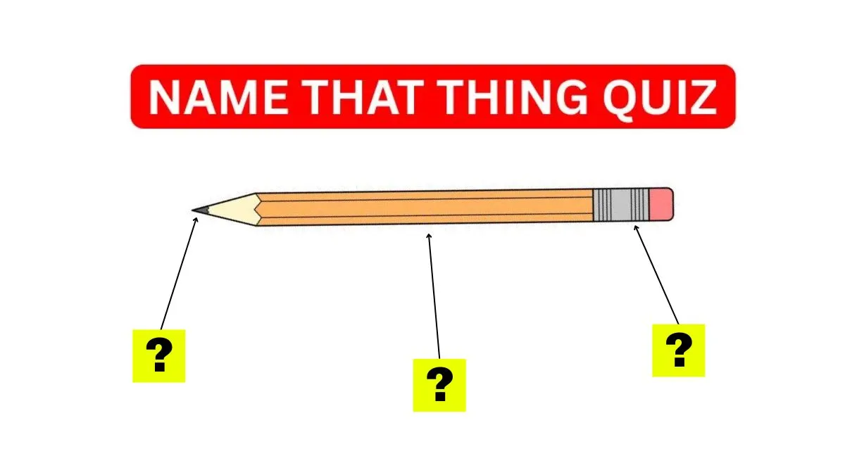 What Is The Name Of The 'Metal Ring' That Holds The Eraser? Identify ...